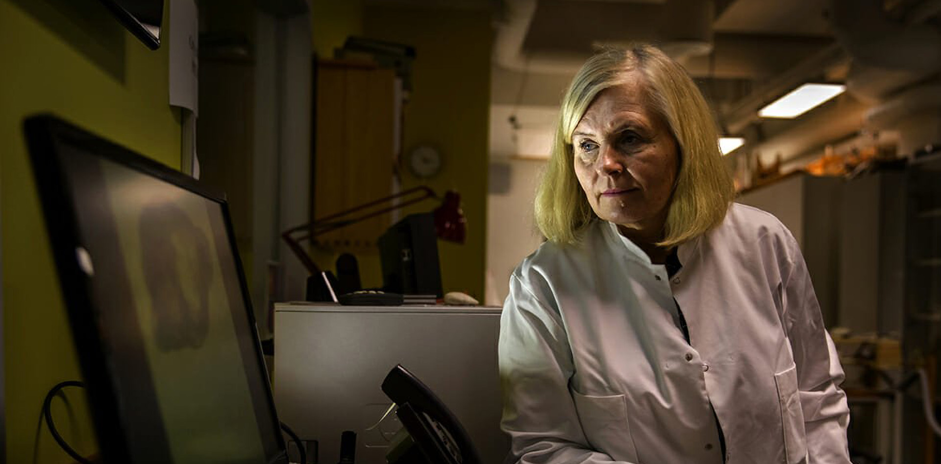 Einstein Center for Neurosciences Berlin (ECN) - Einstein Center for ...